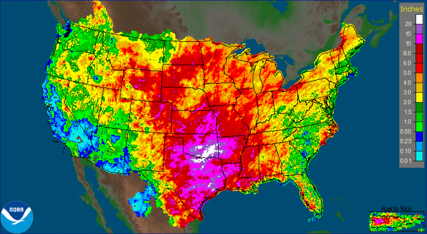 Cleaning Mold Damage Caused By Rain & Floods